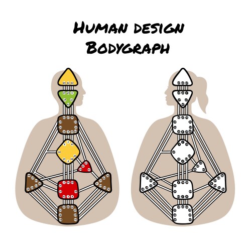 Human Design Bodygraph System – Royalty-Free Vector | VectorStock
