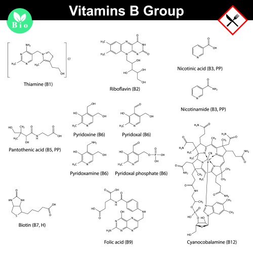 Vitamin acid formulas chemical molecular structure