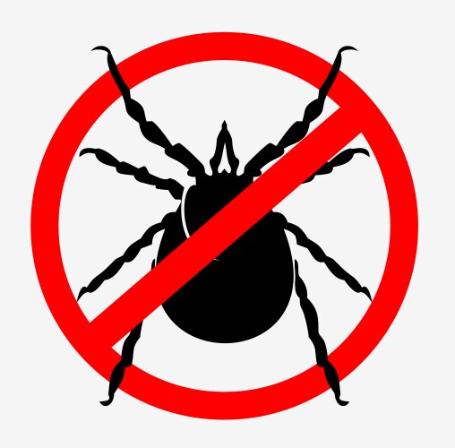 Anti termite symbol Royalty Free Vector Image - VectorStock