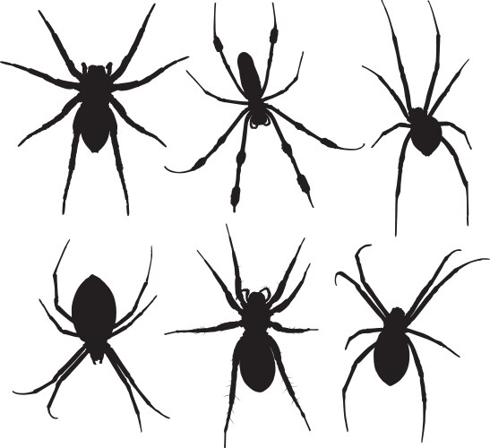 Spider Vector Images (over 84,000)