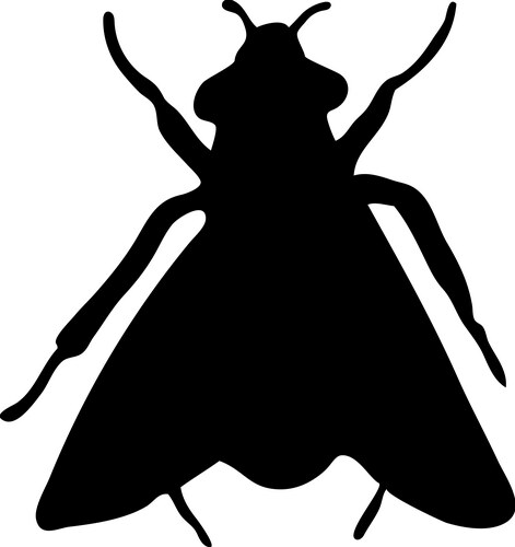 Silhouette of fly insect Royalty Free Vector Image