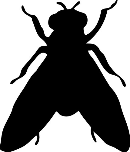 Lobster silhouette isolated on white background Vector Image