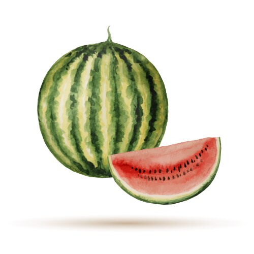 Realistic watermelon fruit 3d Royalty Free Vector Image