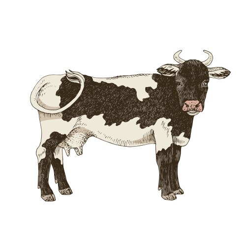 Ufo adducts cow simple side view Royalty Free Vector Image