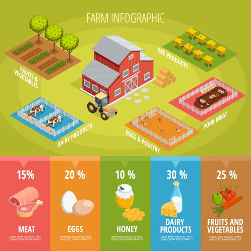 Poultry farm isometric flowchart Royalty Free Vector Image