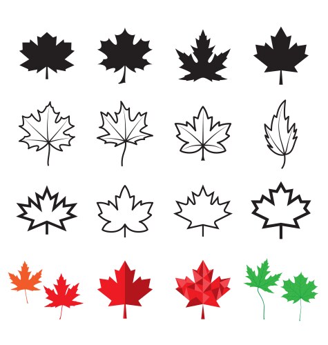 Maple Leaf Outline Vector Images (over 10,000)