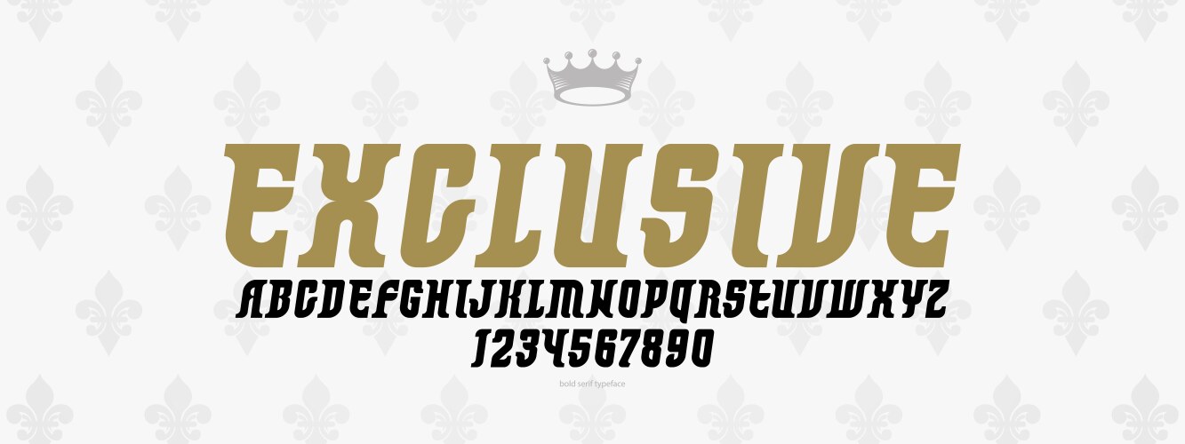 Classic style italic serif display font for logos Vector Image