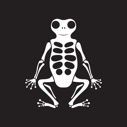 Frog Skeleton Vector Images (over 470)