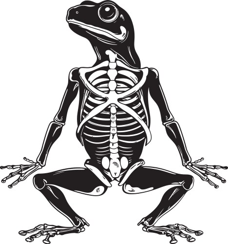 Frog skeletal silhouette logo design amphibian Vector Image