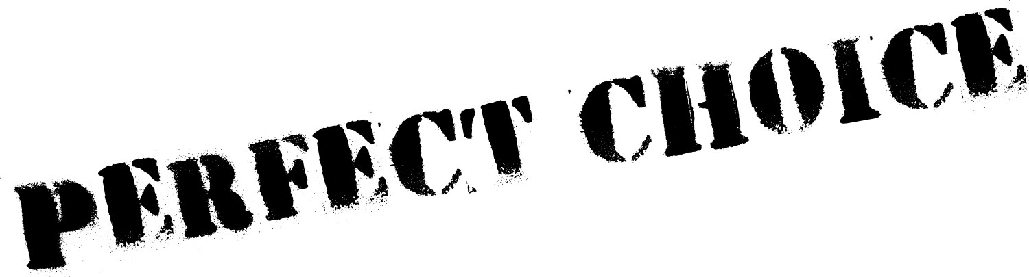 Perfect choice rubber stamp Royalty Free Vector Image