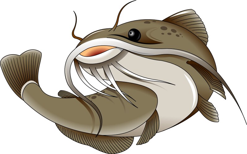 Cartoon catfish Royalty Free Vector Image - VectorStock