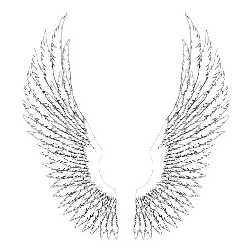 Black and white hand-drawn wings Royalty Free Vector Image