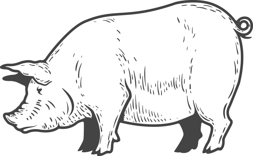 Pig Outline Vector Images (over 15,000)