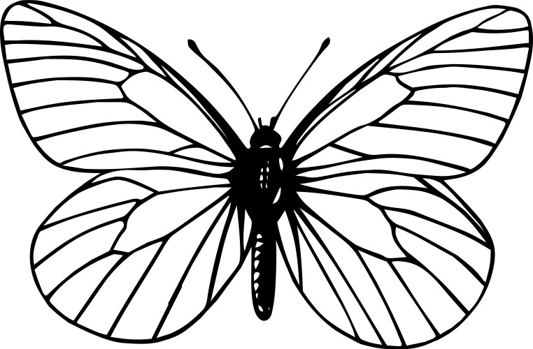Butterfly Outline Vector Images (over 24,000)