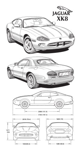 Jaguar Vector Images (over 19,000)