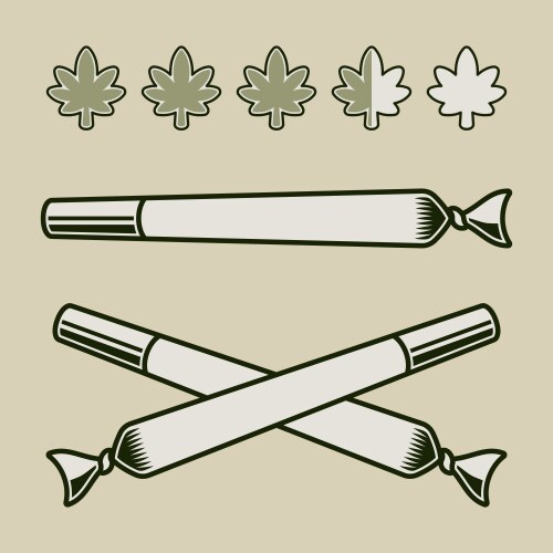 Marijuana rolled joints and levels gradation Vector Image