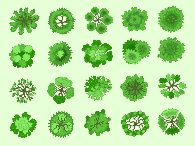 Trees top view for landscape Royalty Free Vector Image