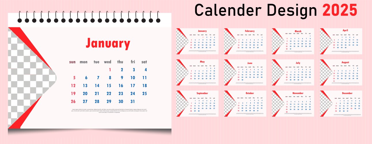 2025 calendar design simple vertical layout Vector Image