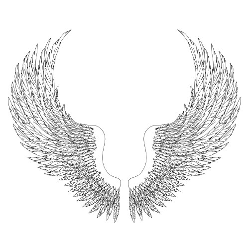 Black and white hand-drawn wings Royalty Free Vector Image