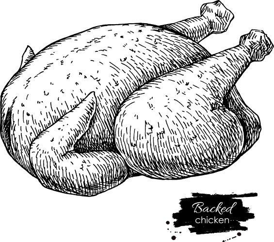 Chicken Food Vector Images (over 120,000)