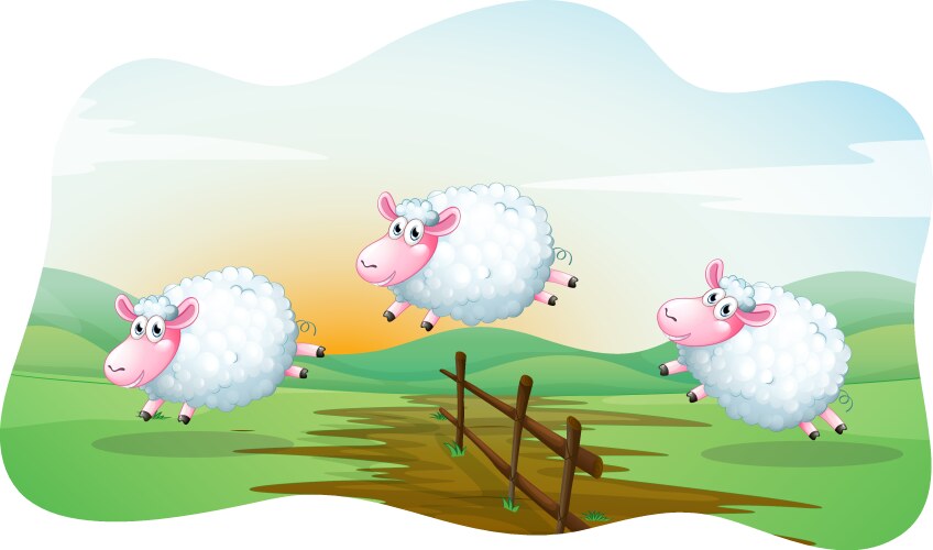 Four sheeps Royalty Free Vector Image - VectorStock