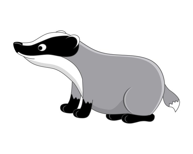 Adult funny badger Royalty Free Vector Image - VectorStock