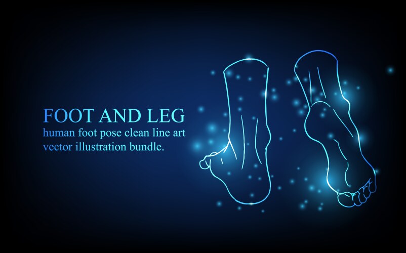 Human foot line and leg knee toe digital Vector Image