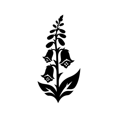 Foxglove Vector Images (over 400)