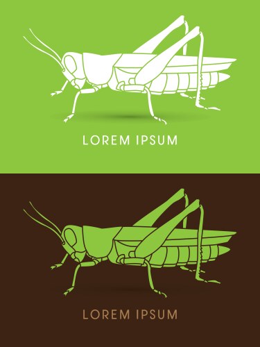 Cartoon Grasshopper Vector Images (over 3,000)