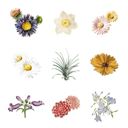 Bloom Vector Images (over 330,000)