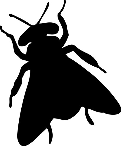 Silhouette of fly insect Royalty Free Vector Image