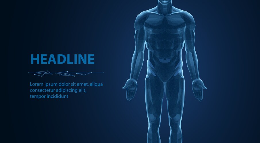 Human anatomy internal organs layout Royalty Free Vector