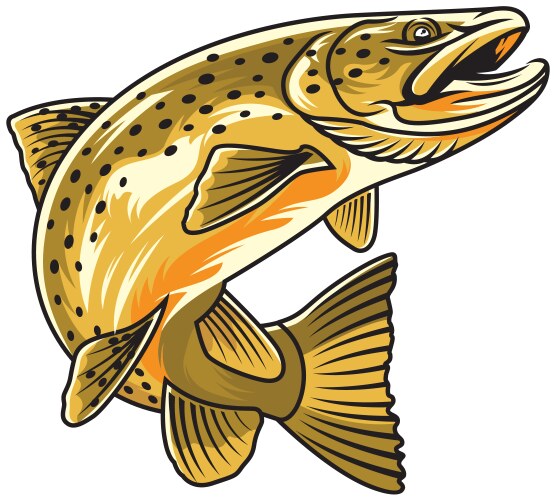 Barramundi fish fishing template Royalty Free Vector Image
