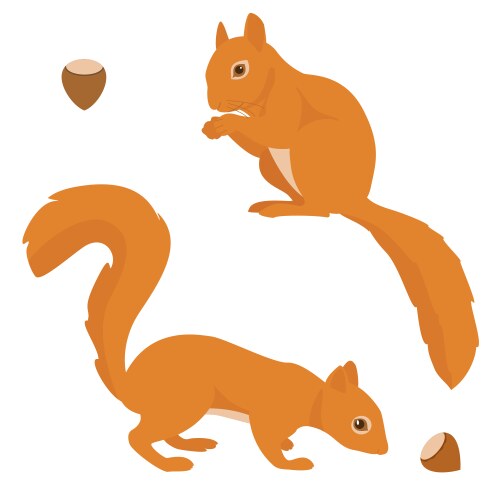 Set of cute cartoon squirrels Royalty Free Vector Image