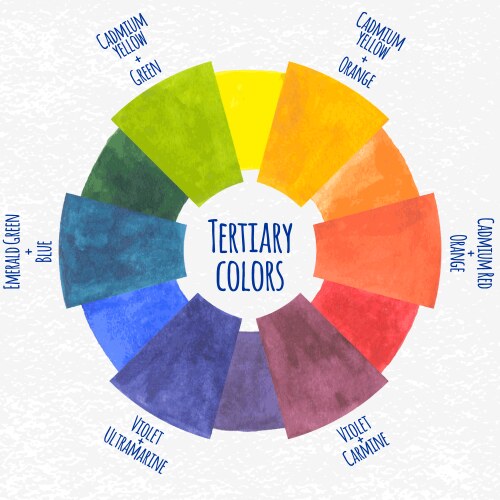 Color wheel 12 colors with 20 percent step Vector Image