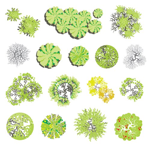 Trees top view for landscape Royalty Free Vector Image