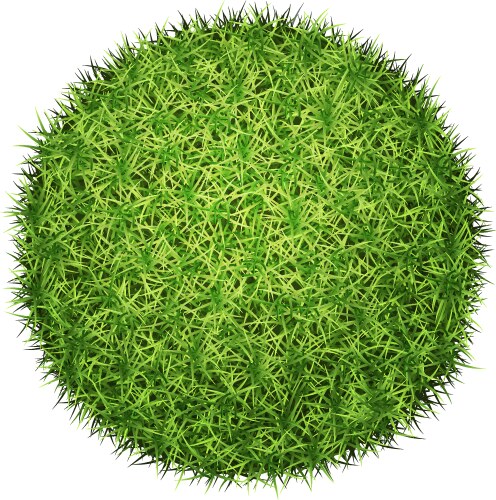 Grass circle 3d green plant grassy round field Vector Image