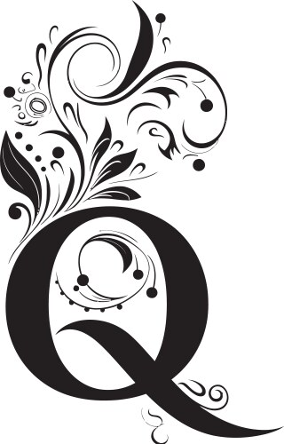 Quintessential script ornate font q decor Vector Image