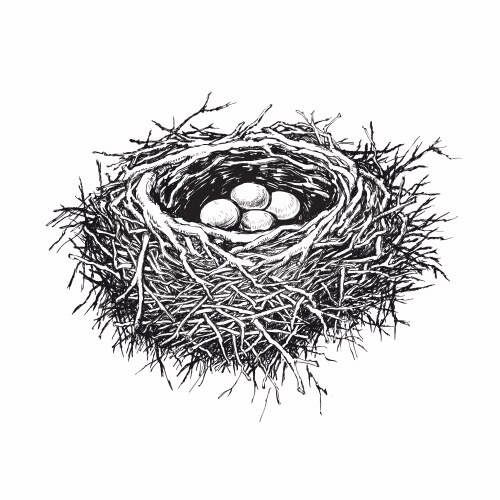 Nest Vector Images (over 33,000)