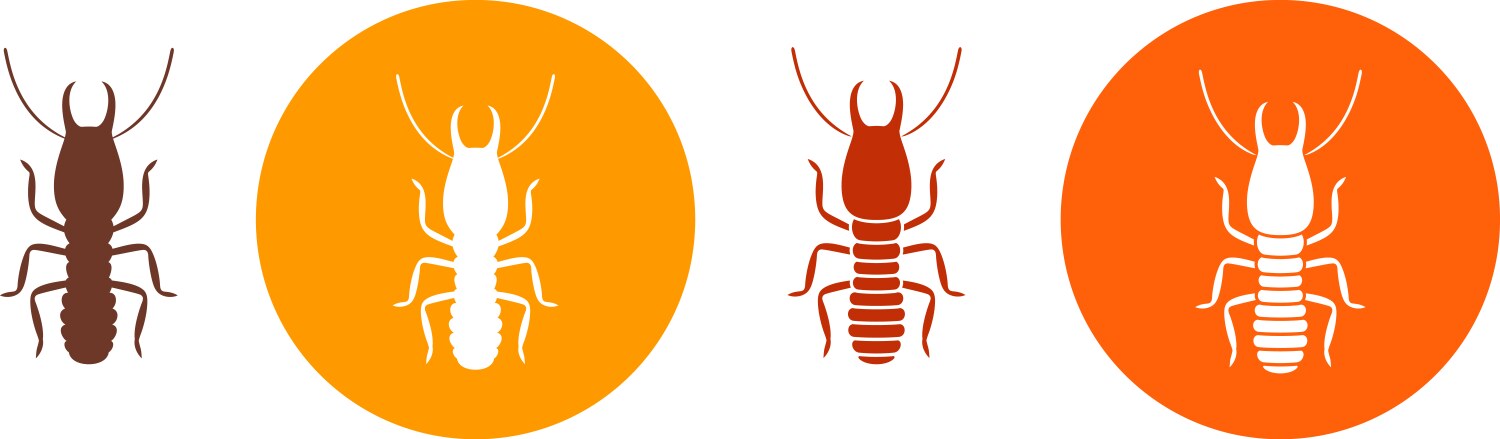 Termite Royalty Free Vector Image - VectorStock