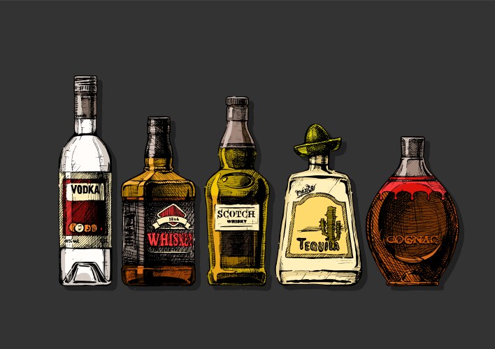 Bottles alcohol distilled beverage Royalty Free Vector Image