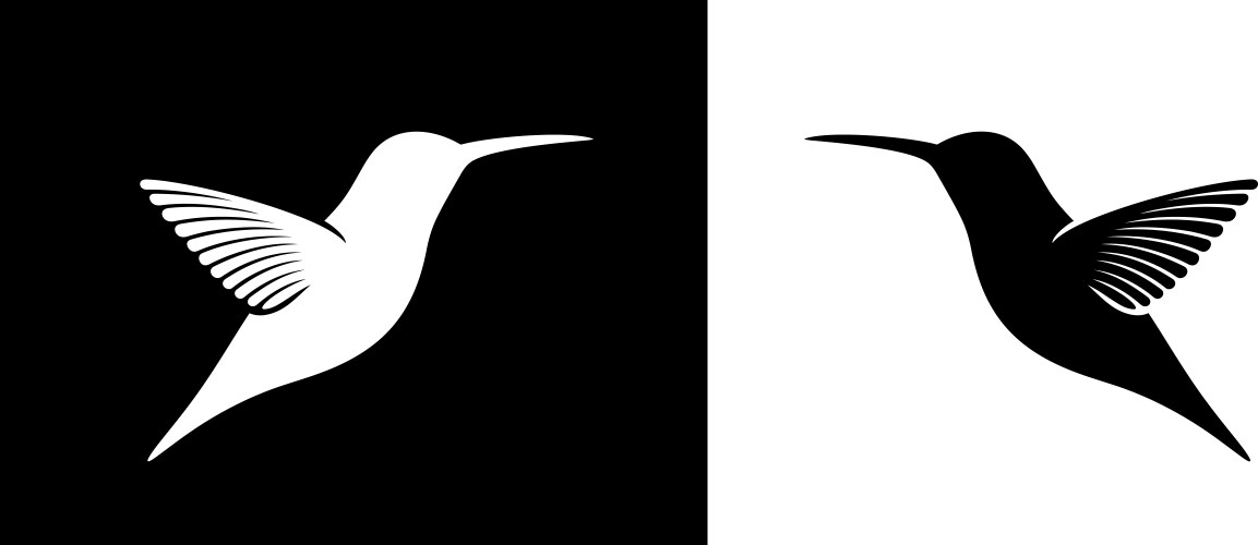 Black and White Hummingbird Vector Images (over 5,600)