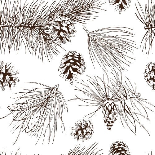 Pinecone Vector Images (over 6,400)