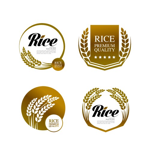 Premium rice great quality design concept Vector Image