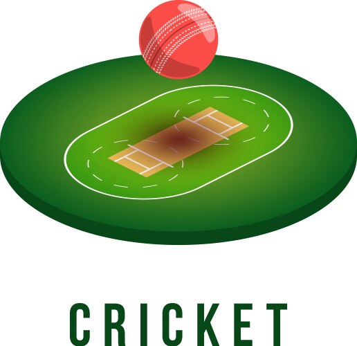 Cricket field simple symbol and background Vector Image