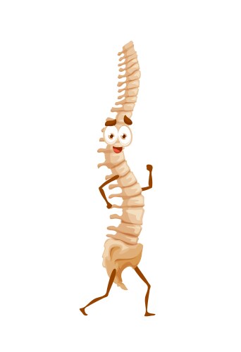 Human spine with name and description Royalty Free Vector