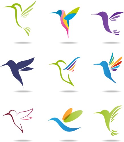 Hummingbird logo design Royalty Free Vector Image