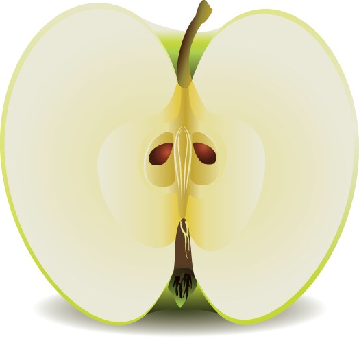 Apple Half Cartoon Vector Images (over 1,800)