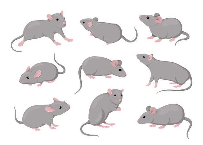Mice Vector Images (over 11,000)