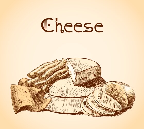 Drawing cheese sketch ingredients vintage dairy Vector Image
